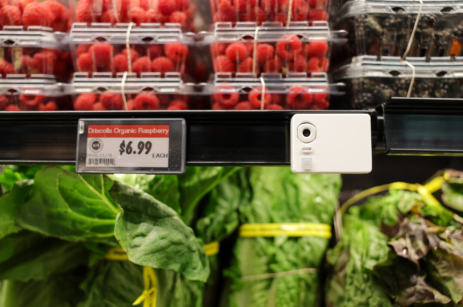 Computer Vision and AI for Inventory Management | VusionGroup